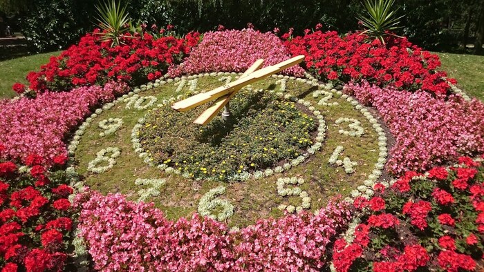 NABÍDKA AKCÍ :: tombezouska